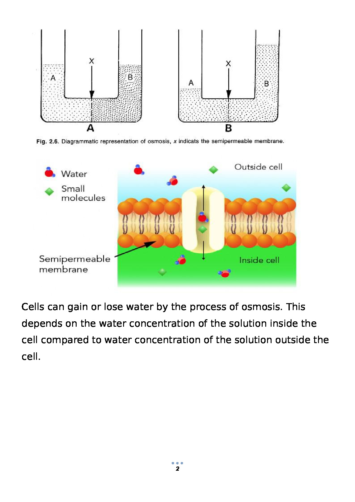 Grade 8 Integrated Science Project 2024 Teacher step by step Guide