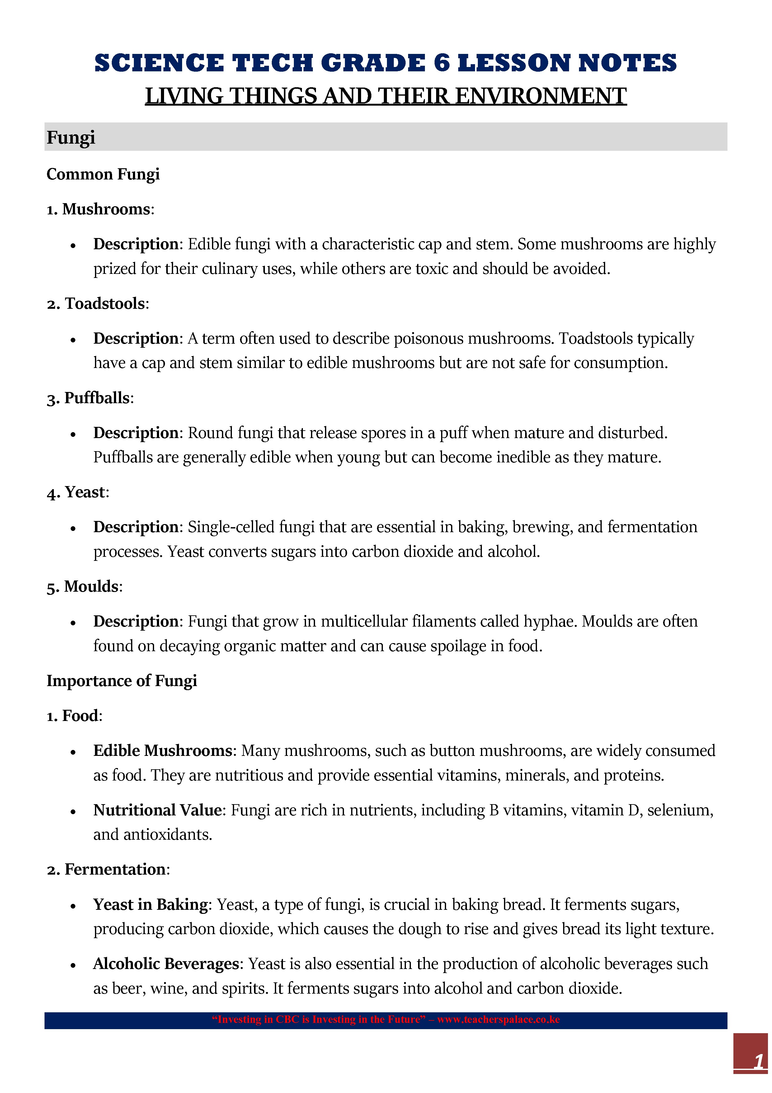 SCIENCE AND TECHNOLOGY LESSON NOTES GRADE 6 WHOLE YEAR