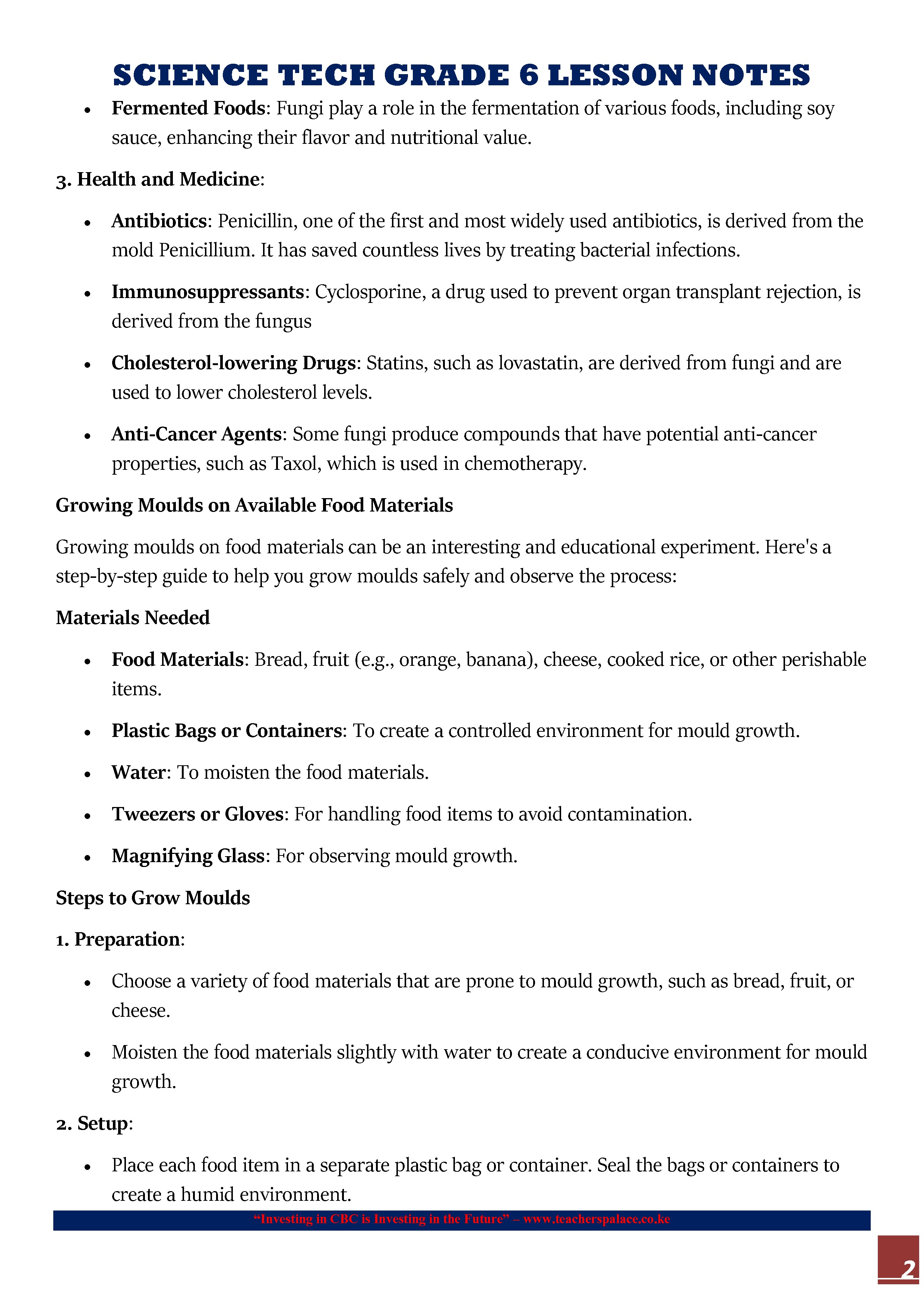 SCIENCE AND TECHNOLOGY LESSON NOTES GRADE 6 WHOLE YEAR